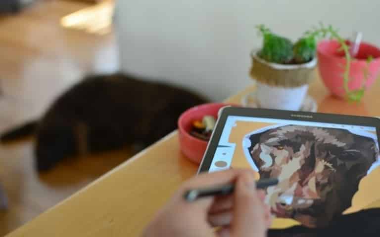 Digital zeichnen: 7 Möglichkeiten am PC zu malen (Überblick)